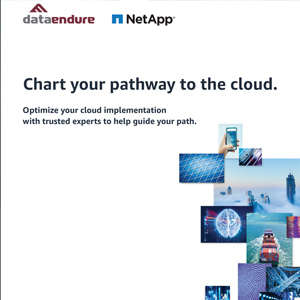 Library - DataEndure | Cybersecurity & IT Resilience Experts